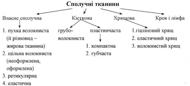 Тканини